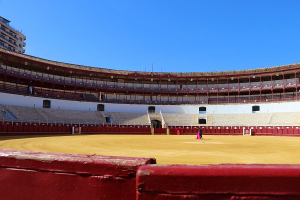 Besichtigung von Malaga Stierkampfarena | Offizielle Website